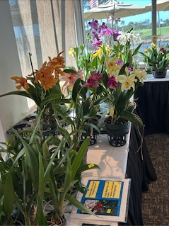 SCOS to hold monthly meeting - SANIBEL-CAPTIVA - Island Reporter ...